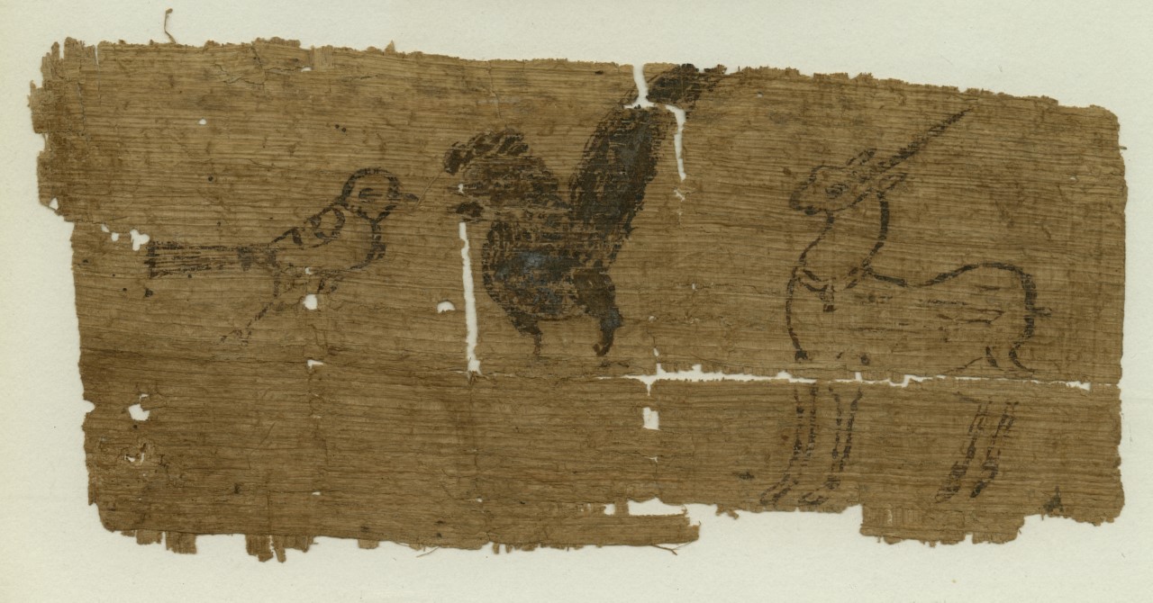 The Oxyrhynchus Papyri | Sustainable Digital Scholarship